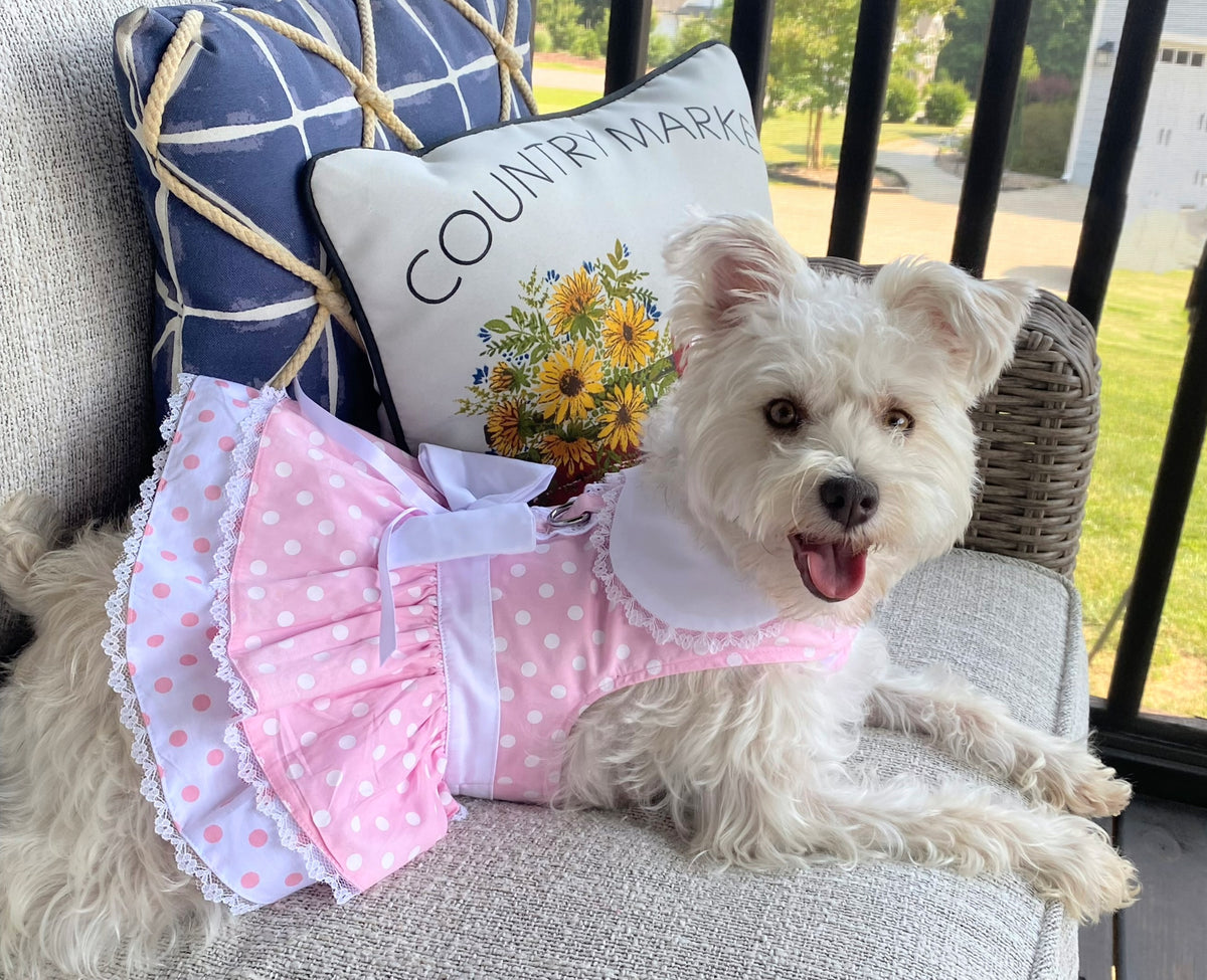 Happy Birthday Hazel! – Gate Nine Boutique