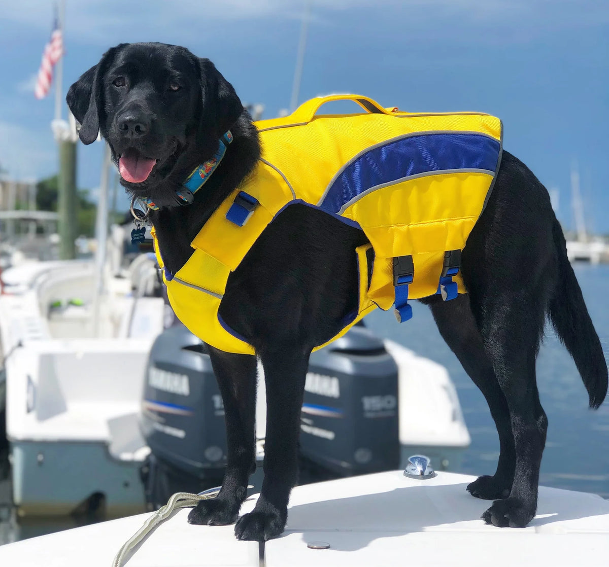 Life Jackets! – Gate Nine Boutique